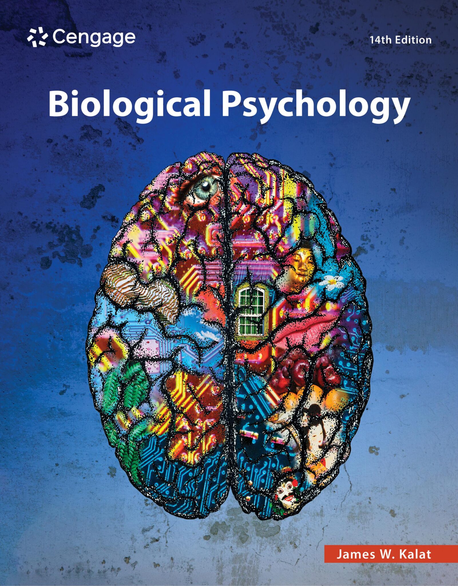 The Biological Perspective: Exploring the Science Behind Behaviour ...